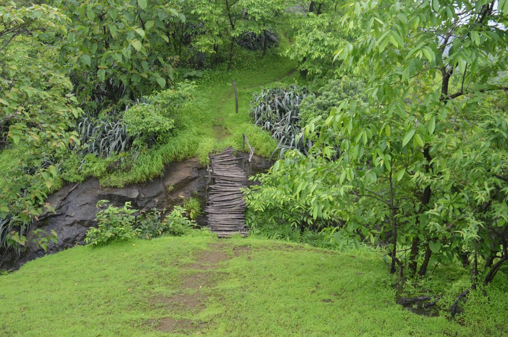 Avchitgad Fort - Maharashtra Bhraman